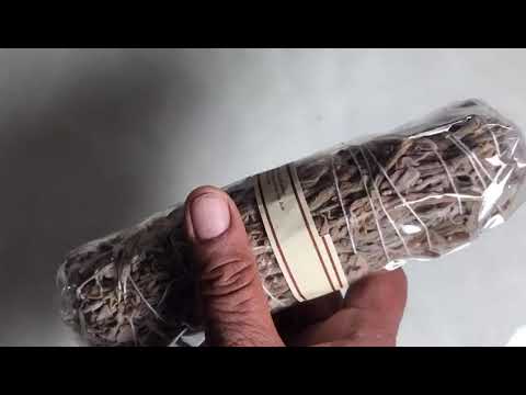 Sage Herb at Best Price in India