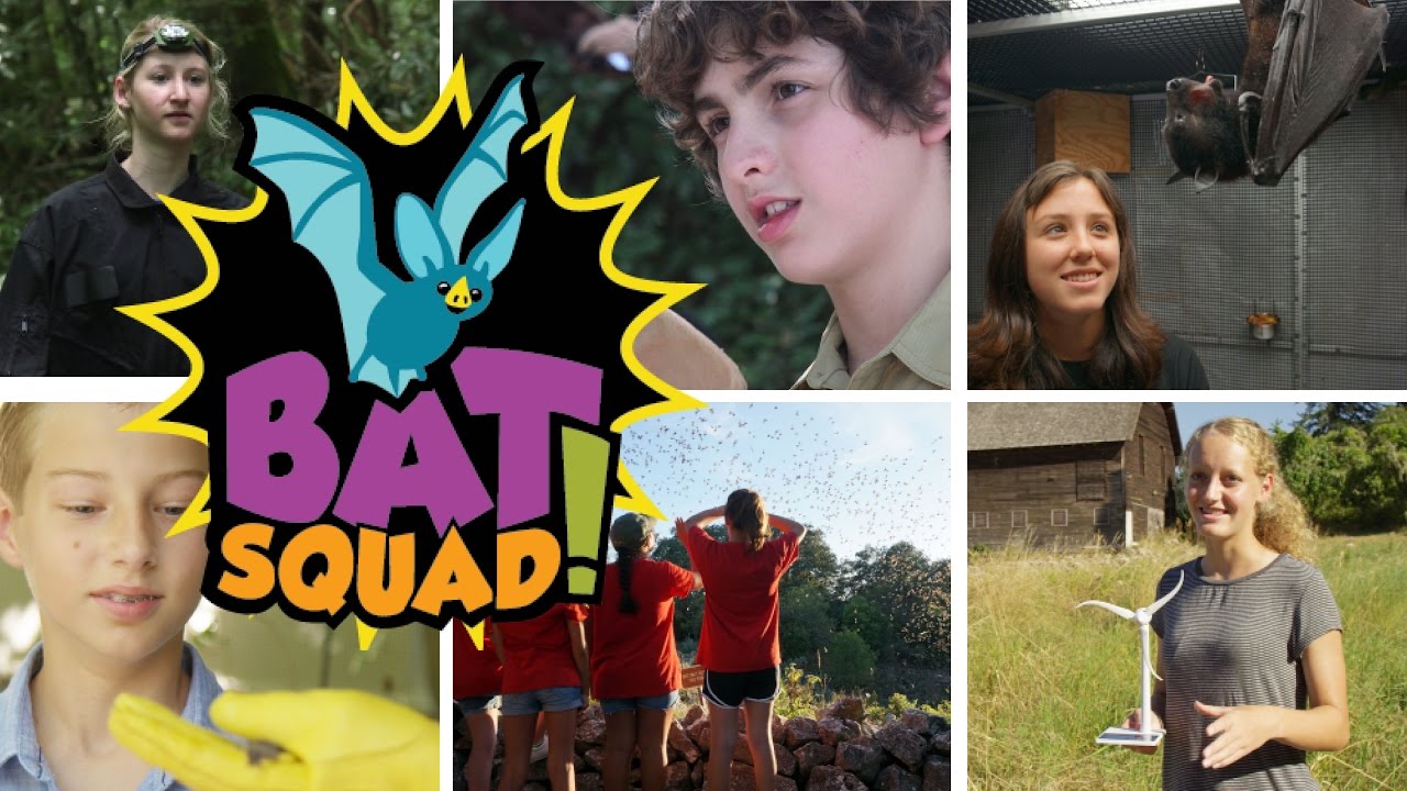Bat Squad! - Bat Chat! Join the Bat Squad!