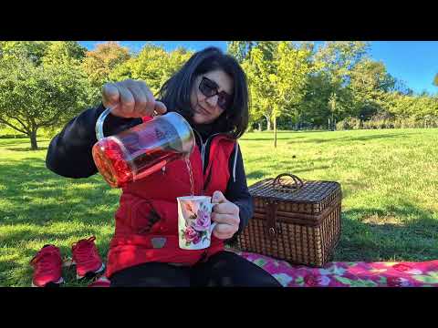 Homemade Applesauce Recipe | Apples from an Old Castle Garden