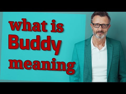 Buddy | Meaning of buddy