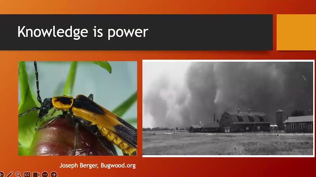 Plant Problems Caused by Weather and What People Do with OSU Master Gardeners