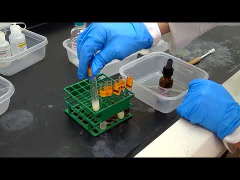 Experiment 20: Iodoform test