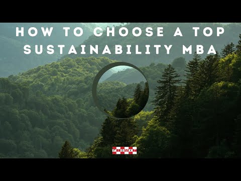 How to Choose a Top Sustainability MBA