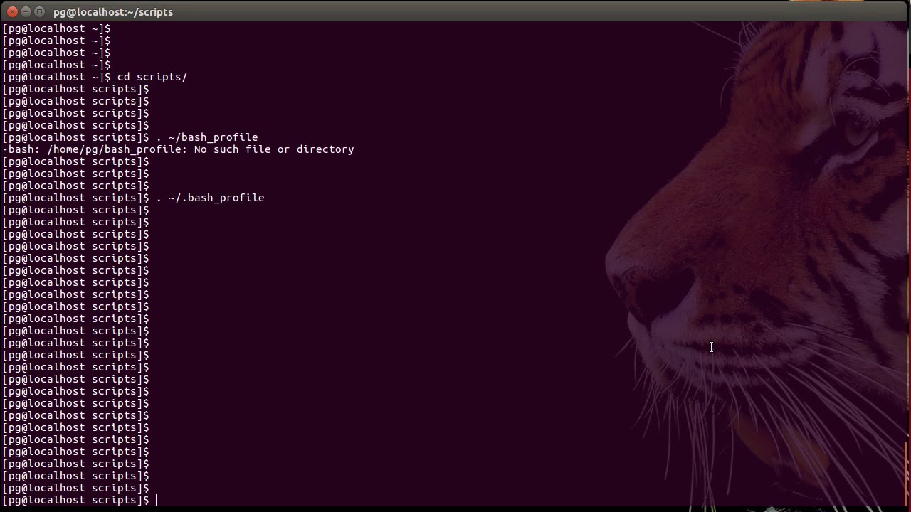 3. postgreSQL - initdb -k