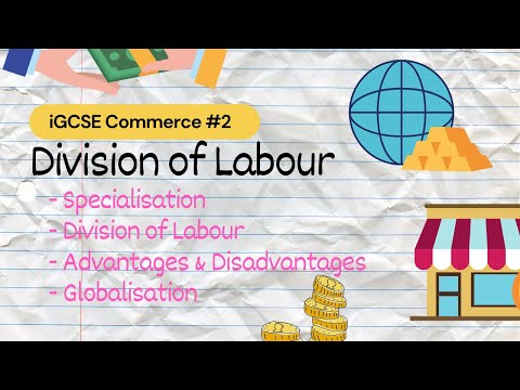 Division of Labour | iGCSE Commerce #2