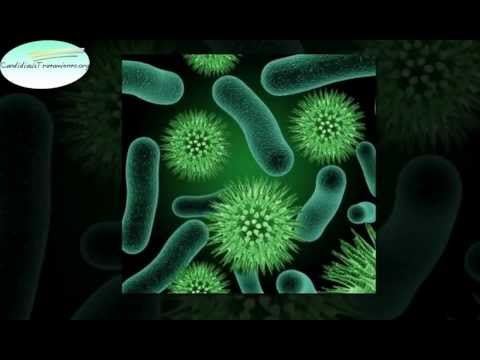 Treatment Of Oropharyngeal Candidiasis By Oravig (Miconazole) Buccal ...