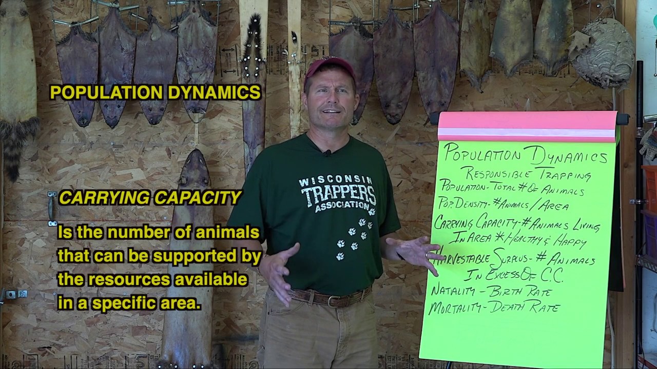 WCTEP #3:  Population Dynamics