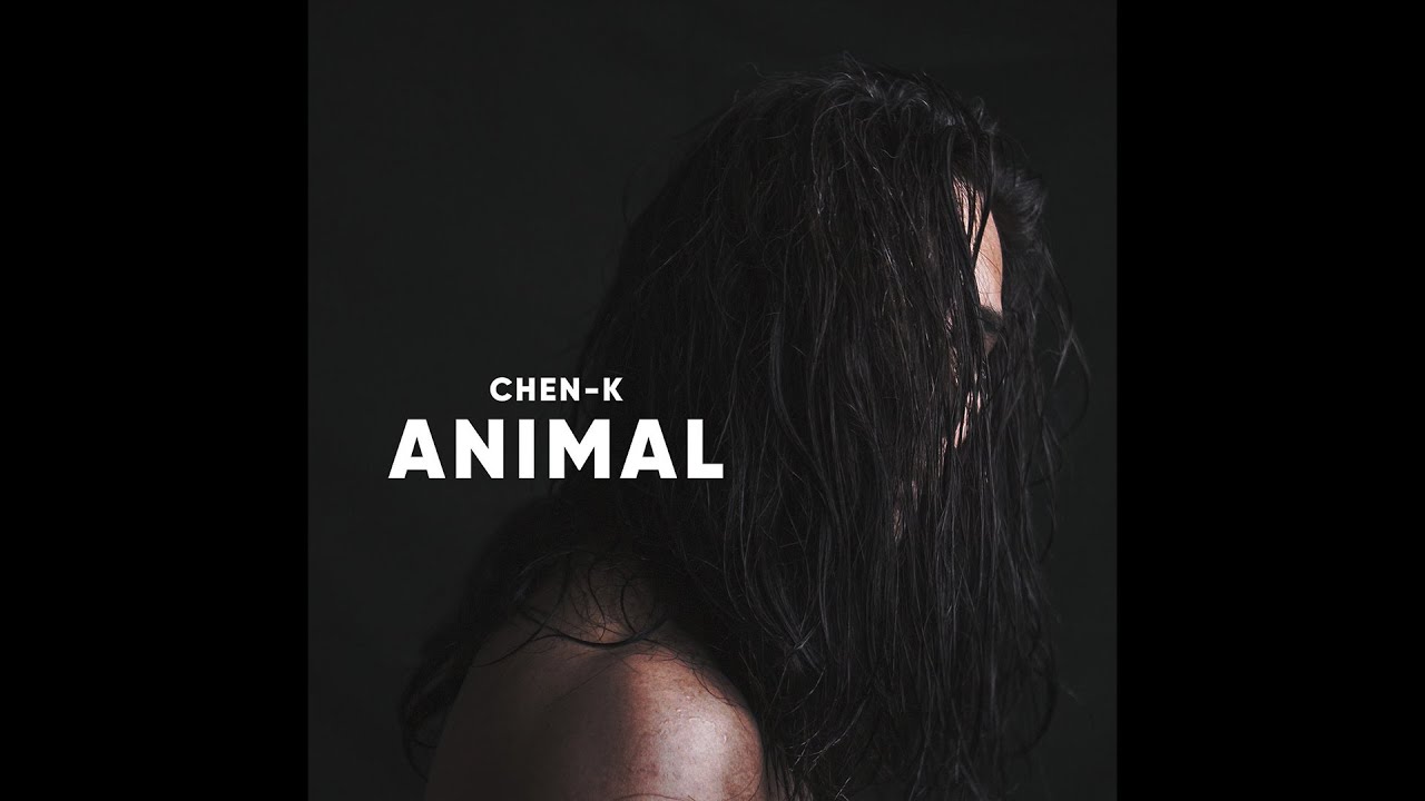 Animal by Chen-K from Pakistan | Popnable