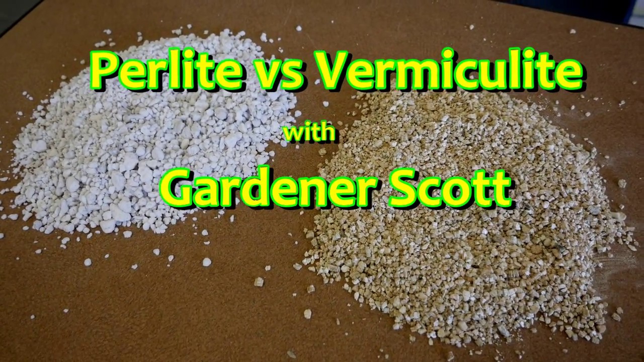 Perlite contro vermiculite