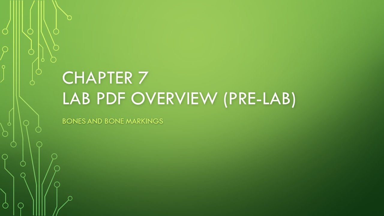 Chapter 7 Lab pdf Overview (Pre-Lab)
