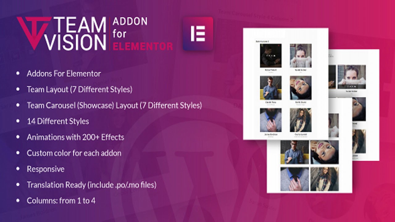 Teamvision for Elementor WordPress Plugin | Codecanyon Scripts and Snippets