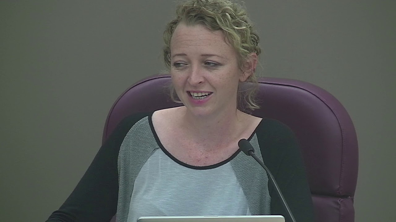 November 21, 2017 DMPS Board Meeting