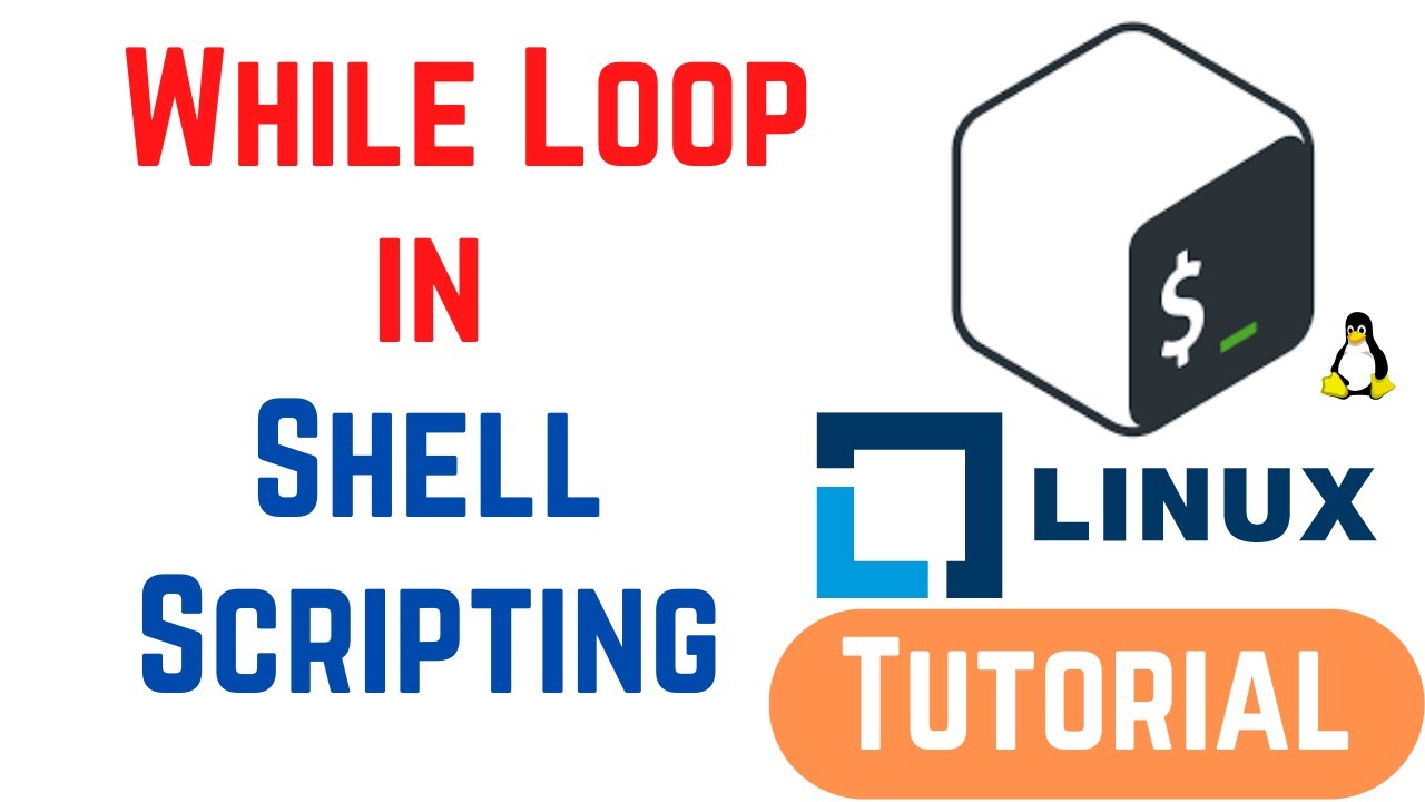 Shell Scripting While Loop | Shell Scripting Tutorial for Beginners