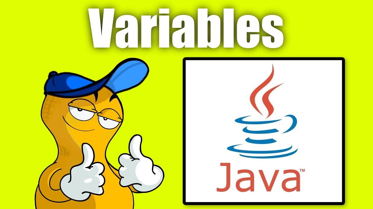 [JAVA] How to create variables in Java and understand their scope (Great for beginners!!)