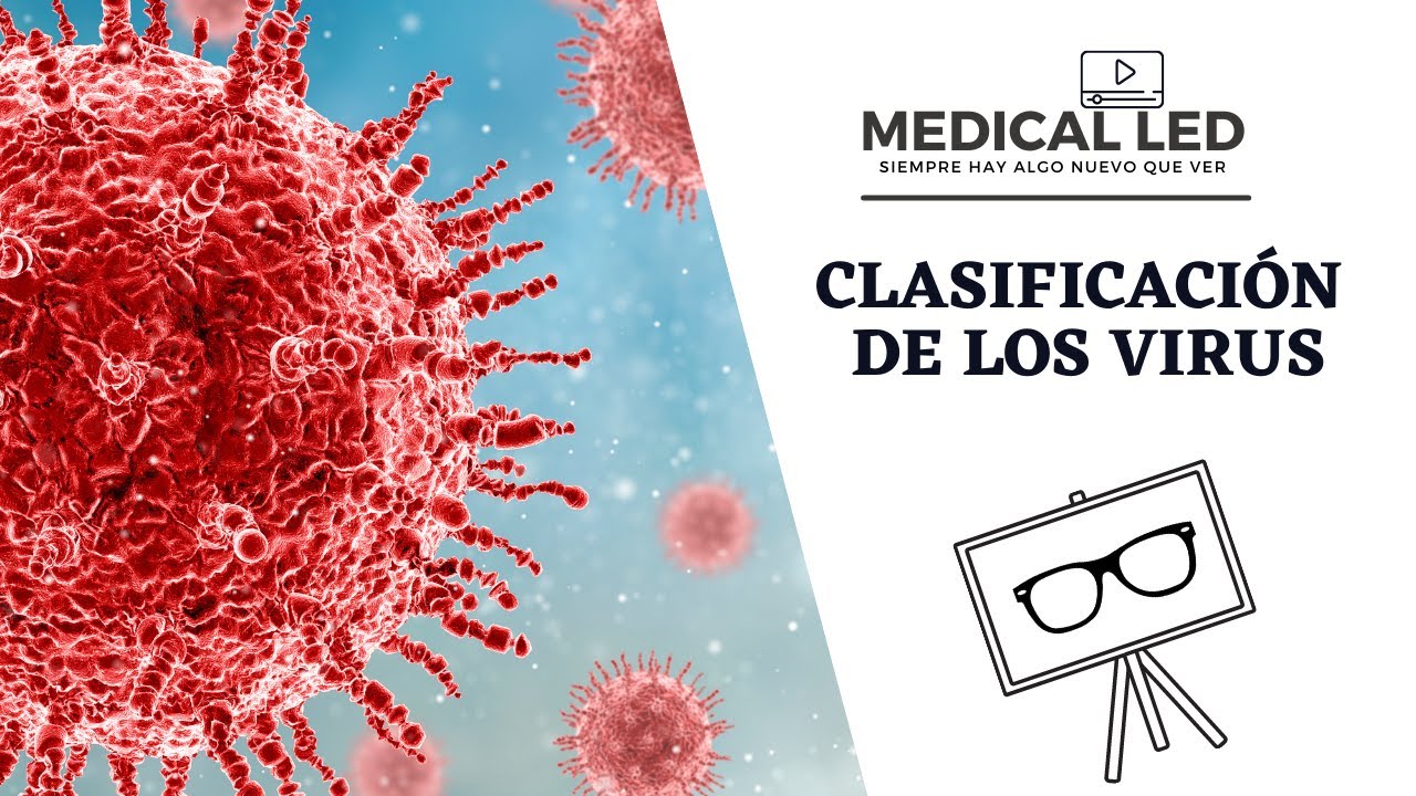 VIRUS CLASSIFICATION: Structure and type of genome