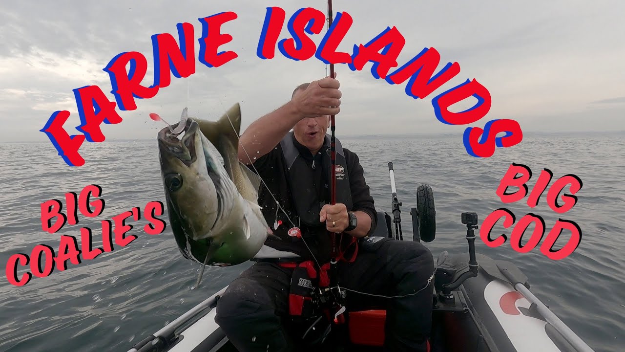 Members Videos - A Selection of Videos From our Facebook Group