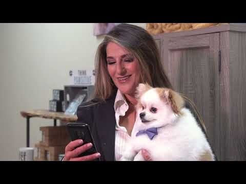 SurePayroll Award-Winning Customer Service 15 sec