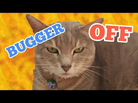 English use of Bugger Off