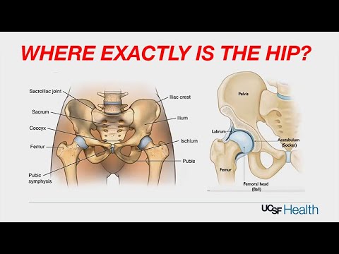 WHERE EXACTLY IS THE HIP?