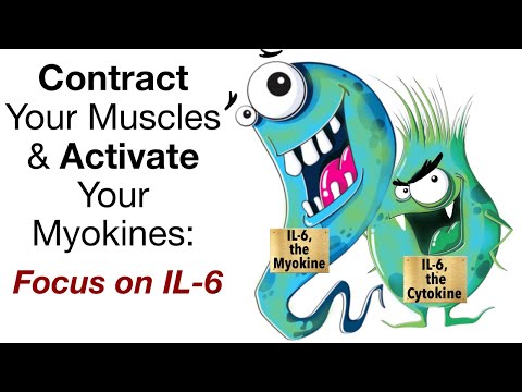 Contract Your Muscles and Activate Your Myokines: Focus on IL-6