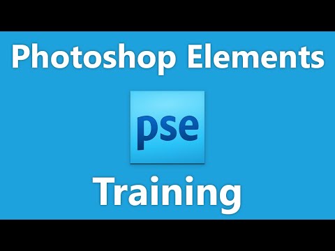 Learn How to Load Brush Sets in Adobe Photoshop Elements 2023: A Training Tutorial