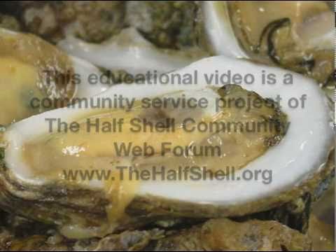 #10 Apalachicola Bay Proposed Summer Oyster Harvest Rule Changes - Part 10 of 15