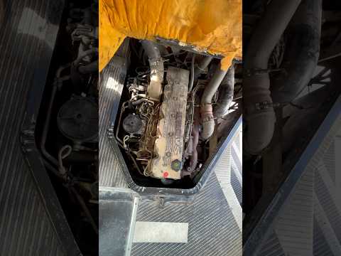 2000 Blue Bird TC2000 5.9 Cummins Startup With Doghouse Open