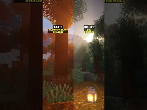 ✨ Minecraft Shaders: Sildurs Shaders or BSL? #shorts