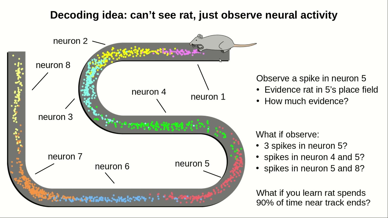 Neural encoding and decoding
