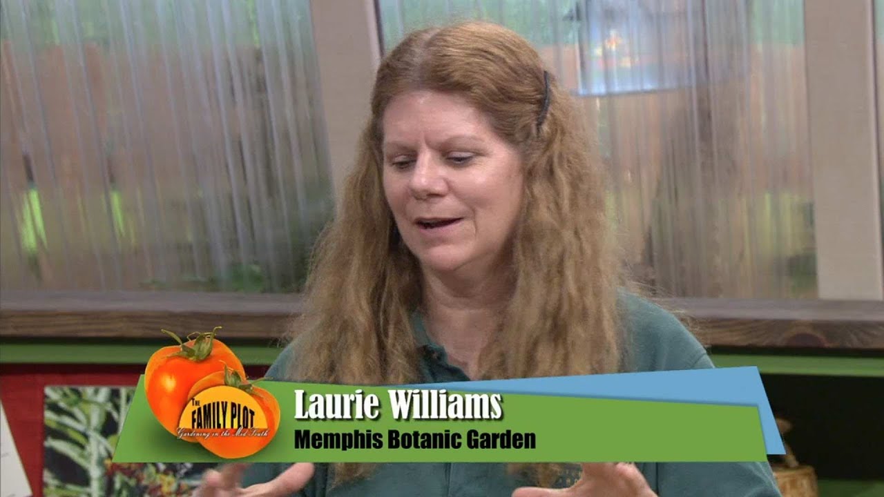 The Family Plot — June 12, 2014