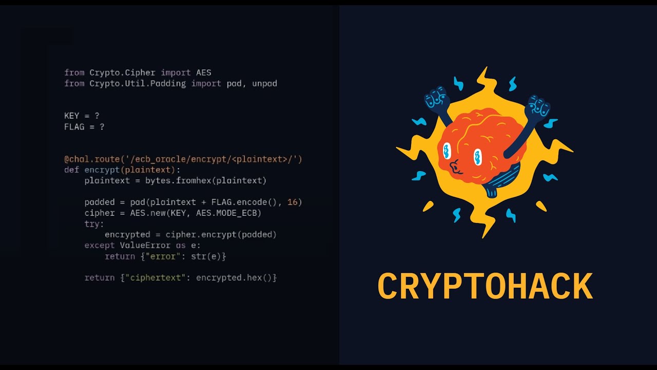 AES-ECB Cryptography - Breaking Encryption Without a Key