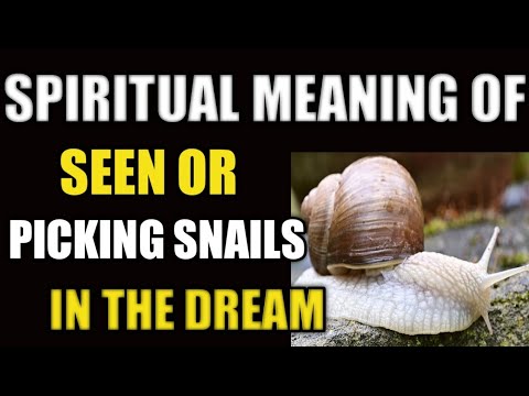 picking snail dream meaning #snail