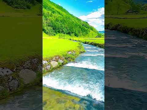 I Spent 48 Hours in APPENZELL COUNTRYSIDE Here's What I Wish I Knew Before!
