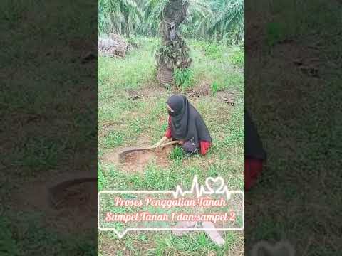 praktikum tekstur tanah febbi mustika sari 05011181924208