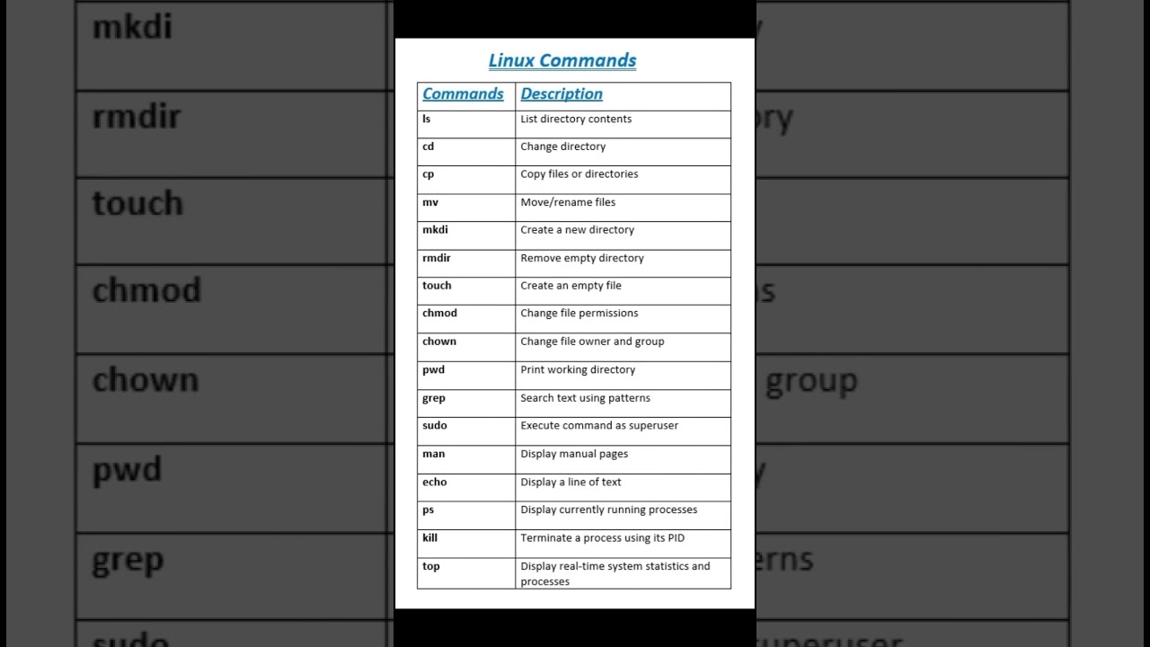 Linux Commands | Essential Linux Commands Every Beginner Should Know!