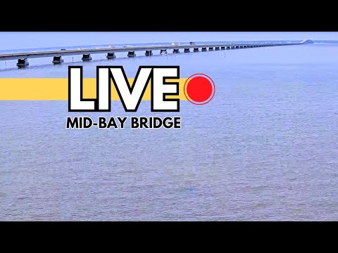Lulu's Mid-Bay Bridge Cam - 30A