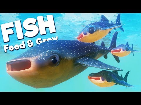 RAISING MY ADORABLE WHALE SHARK BABIES! | Feed and Grow Fish
