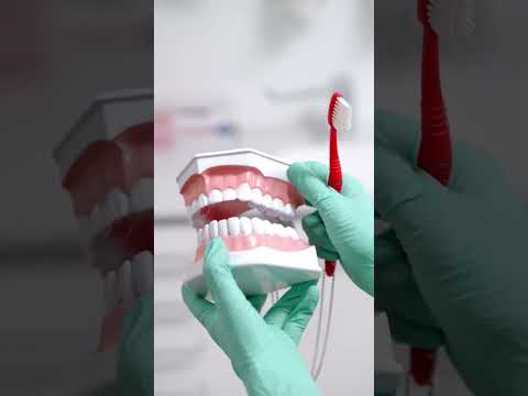 Thanksgiving Day 2024 | Channel island Family Dental office
