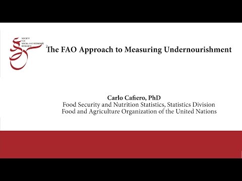 The FAO Approach to Measuring Undernourishment