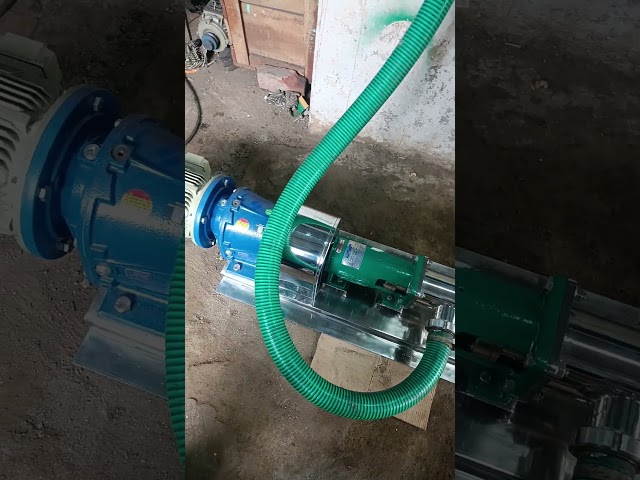 Helical Screw Pump - Stainless Steel SS 316 Screw Pump - For Tomato ...