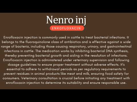 Enrofloxacin Injections - Enrofloxacin Injection IP Latest Price ...