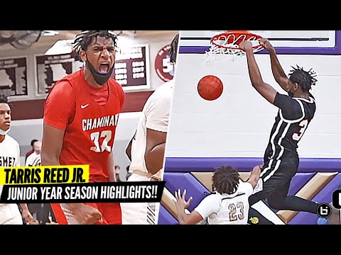 Watch: Junior season highlights — 2022 forward Tarris Reed, Jr. – The ...