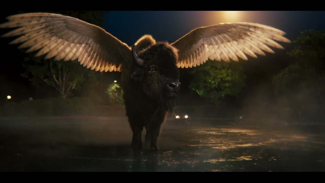 Brandcenter Alumni Work // Buffalo Wild Wings / Hank the Buffalo with Wings
