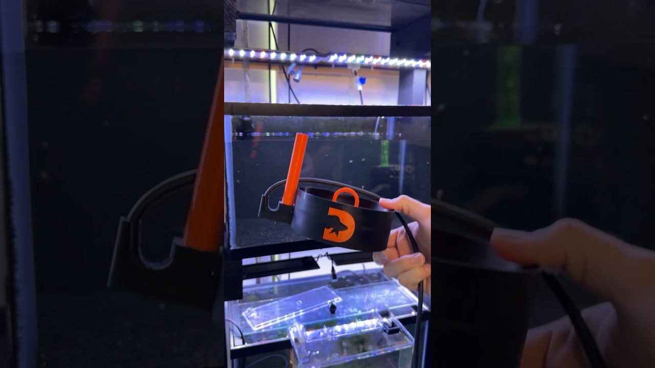 Check out my NEW & IMPROVED Automatic Egg Catcher! #fishbreeding #3dprinting #diy #dakuaquatics