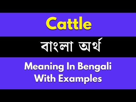 Cattle Meaning in bengali/Cattle শব্দের বাংলা ভাষায় অর্থ অথবা মানে কি
