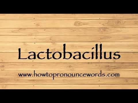 How To Pronounce Lactobacillus ? How To say Lactobacillus New Video