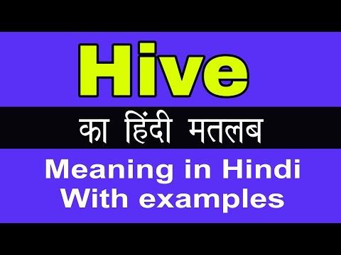 Hive Meaning in Hindi/Hive ka Matlab kya Hota hai
