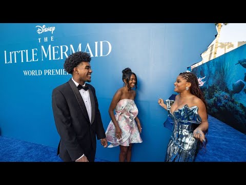 Grammy-Nominated Singer Halle Bailey Makes Dreams Come True for Two ...