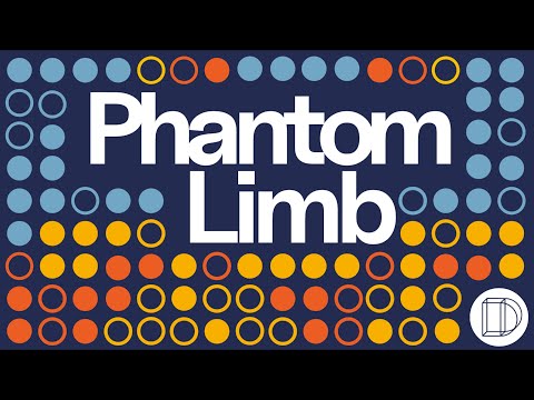 Phantom Limb – Discomfort Designs official store | Reverb Canada
