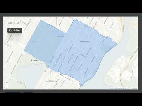 Zip Code 10029 (NY) Social & Economic Profile